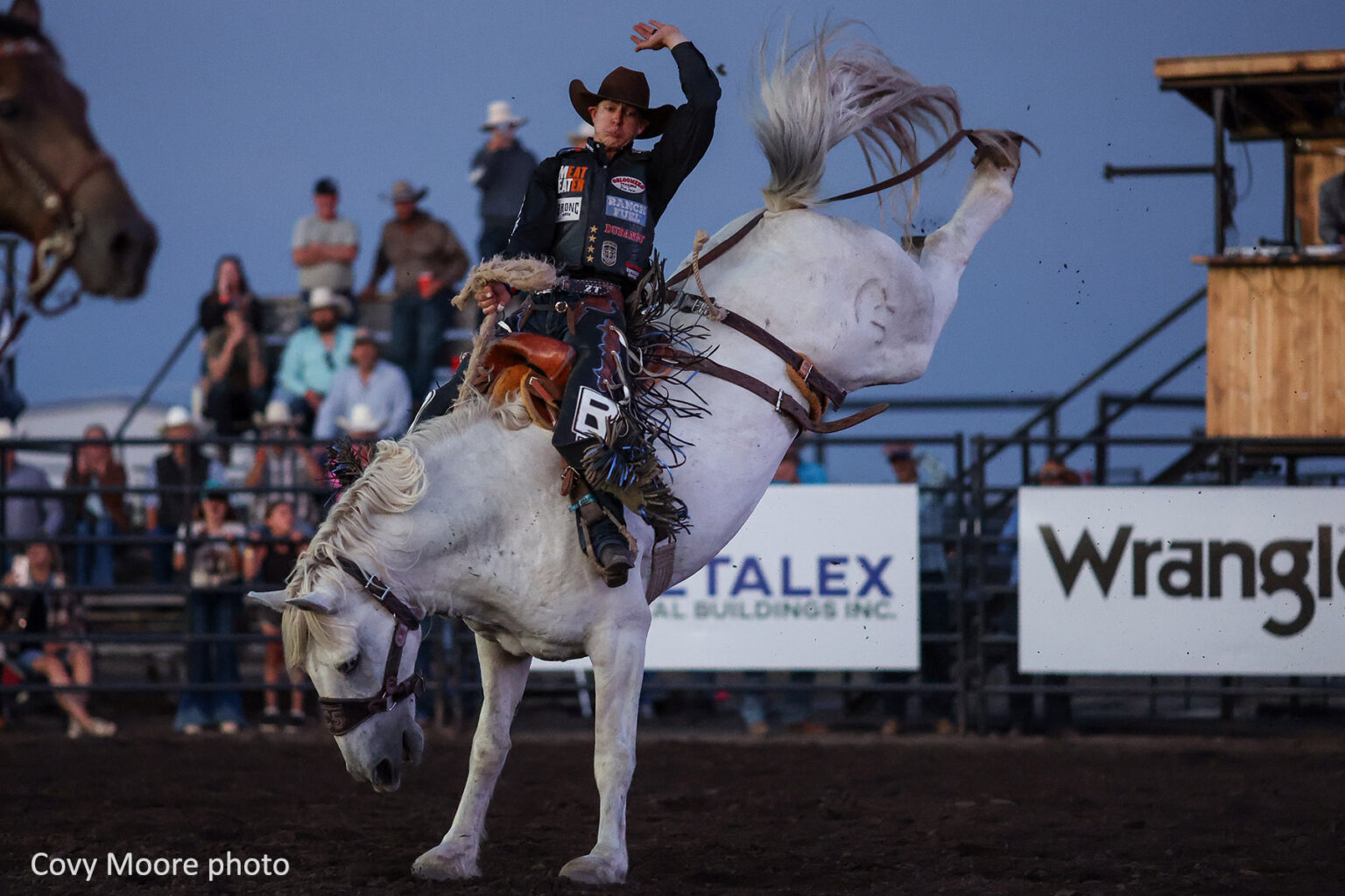 2024 Canadian Finals Rodeo Stock – Canadian Pro Rodeo Association