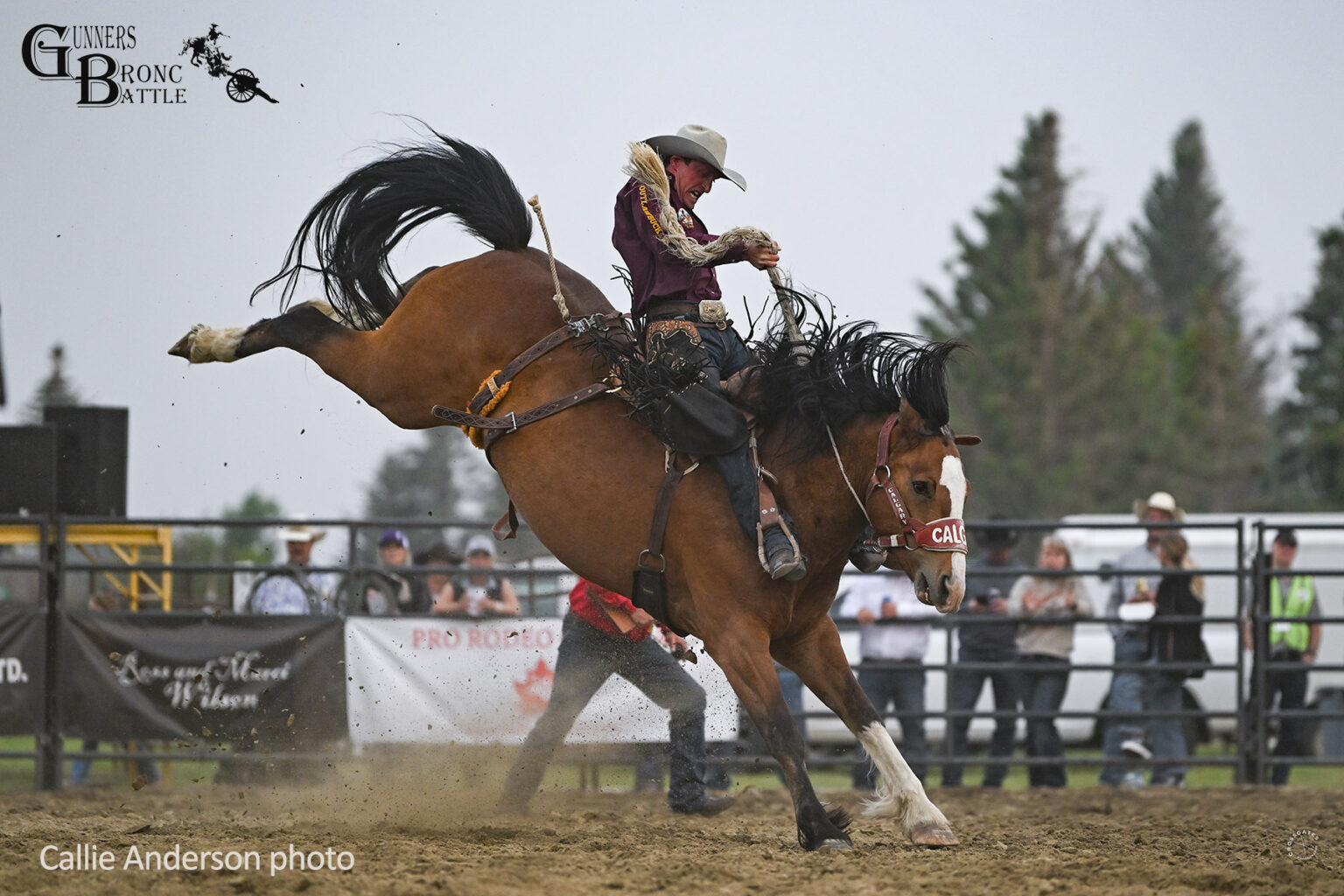 Big Rides Highlight Gunners Bronc Battle – Canadian Pro Rodeo Association