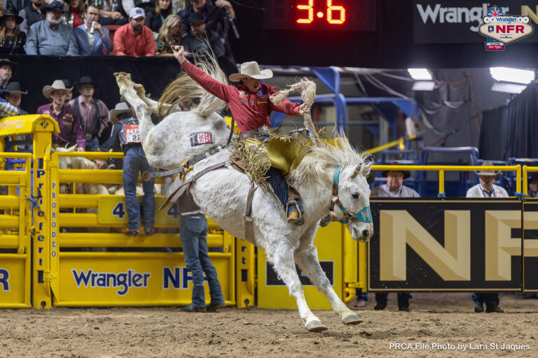 Wrangler National Finals Rodeo 2025 – Canadian Pro Rodeo Association