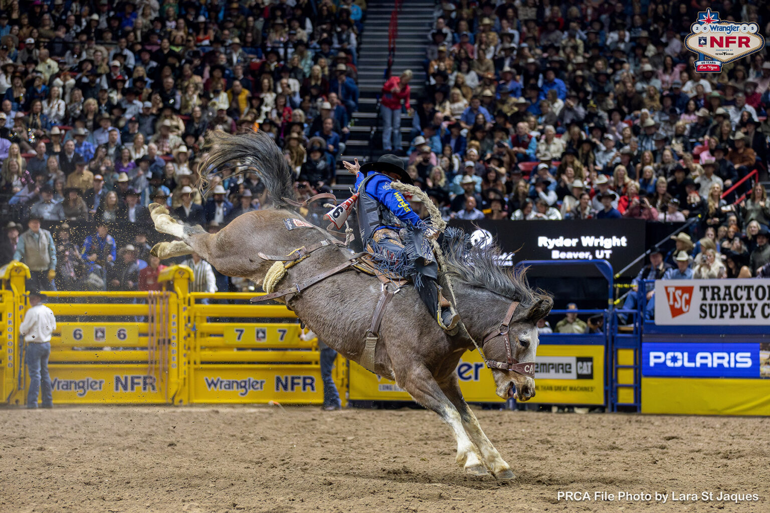 Wrangler National Finals Rodeo 2025 – Canadian Pro Rodeo Association