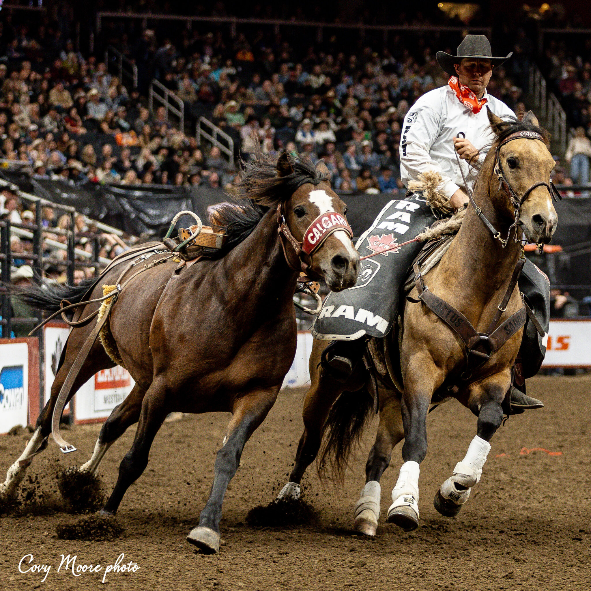 Canadian Pro Rodeo Association