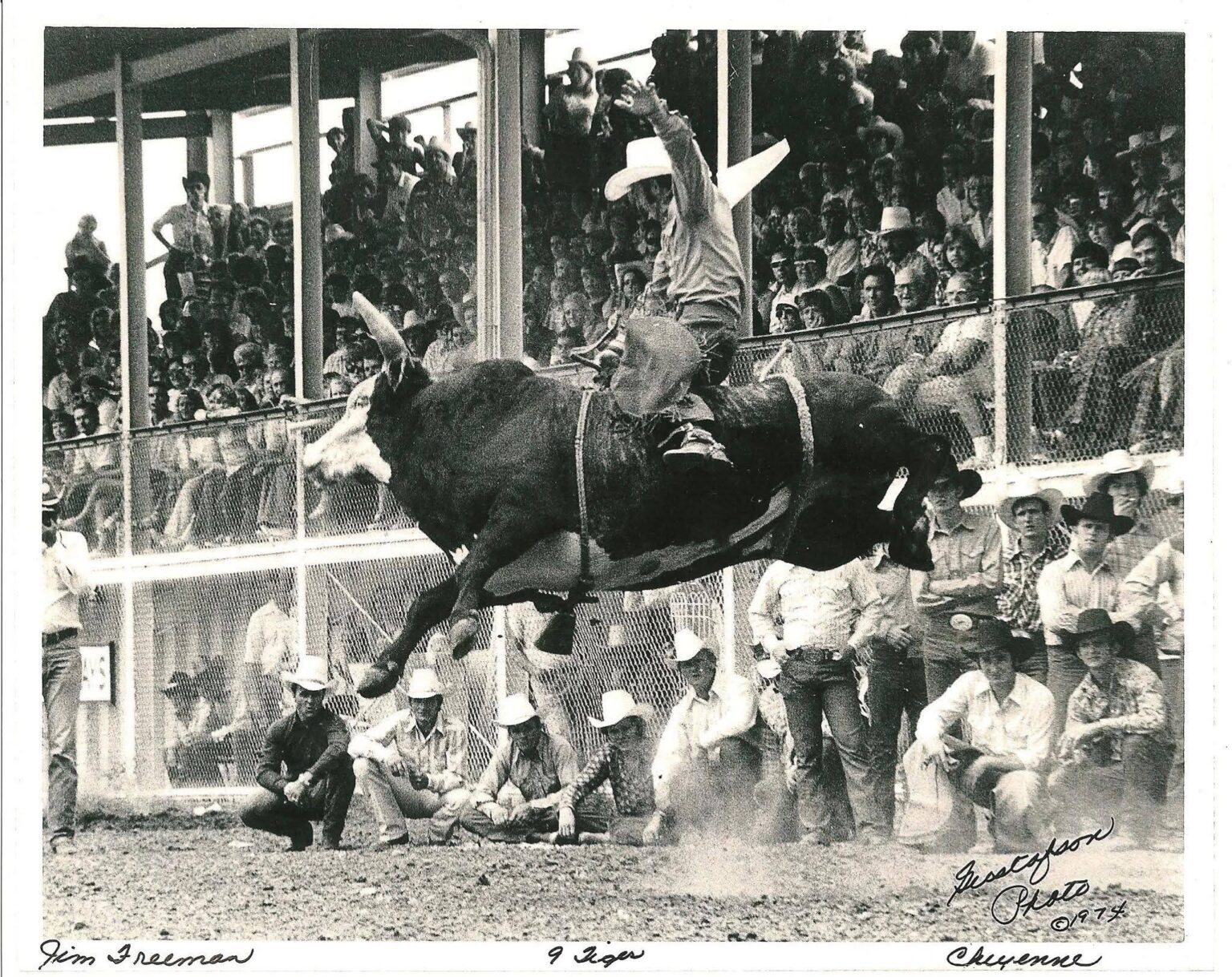 Rodeo Community Loses Jim Freeman – Canadian Pro Rodeo Association