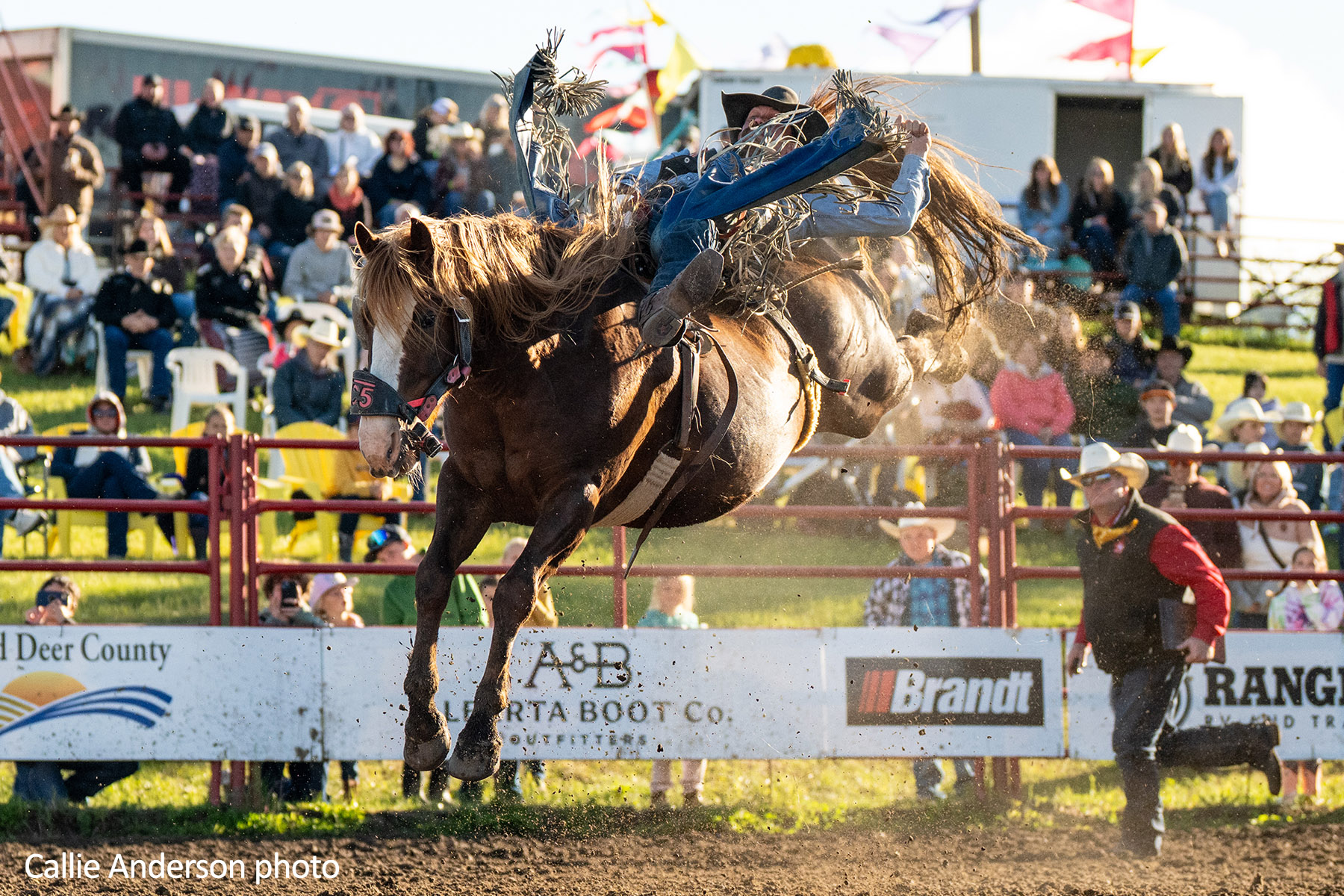 Athletes Chalk Up Points in Precision Rodeo Series – Canadian Pro Rodeo ...