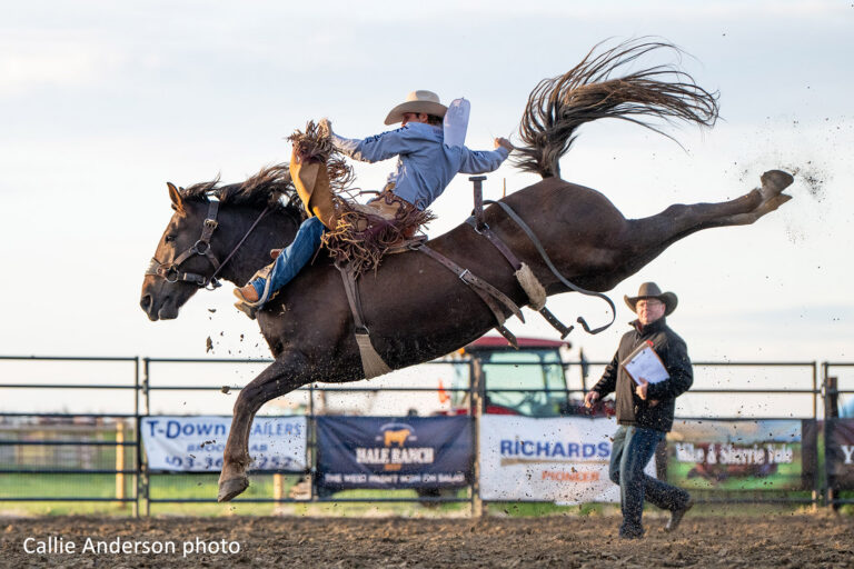 Unofficial / In-Progress Results – Canadian Pro Rodeo Association